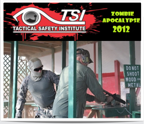 Ninja Liking Sum Sub 2000 - CHL San Antonio | Concealed Handgun Class San Antonio